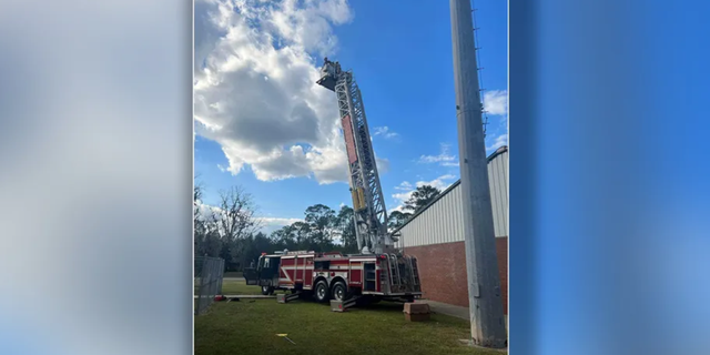 Florida Firefighters Save Eagle Speared By Lightning Rod Atop
