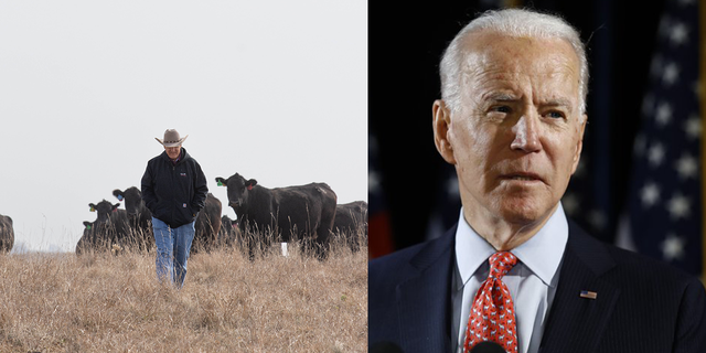 Farmers Ranchers Slam Biden Attack On Farmers With Epa Water Rule