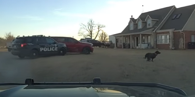 Wild Oklahoma Police Chase Ends After Suspect Smashes Into Tree Video