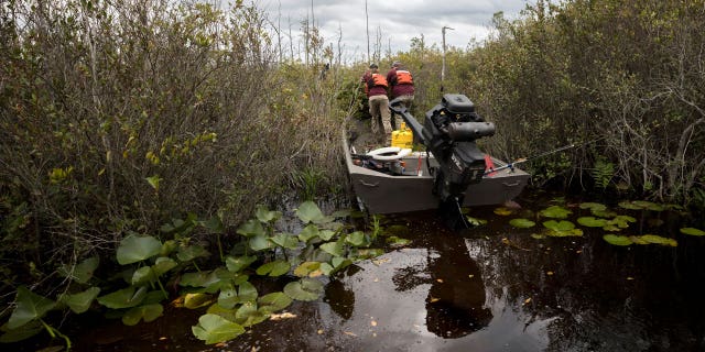 Georgia lawmakers propose to block mining outside Okefenokee | Fox News