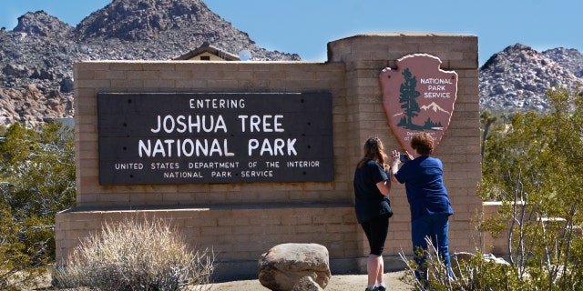 Southern California woman found dead after falling in Joshua Tree ...