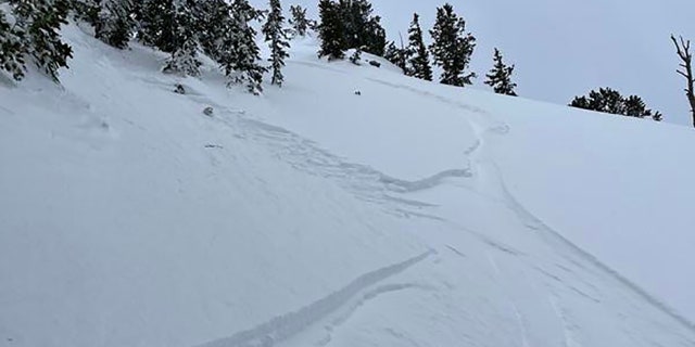 Utah snowboarder caught in avalanche records video of harrowing 300 ...