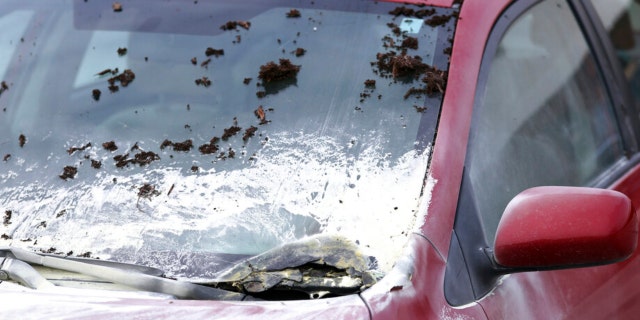 Ohio metal alloy factory explosion kills 1, injures more than a dozen ...