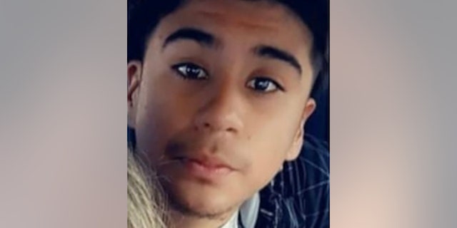 Missing Texas 14-year-old found shot dead in field weeks after disappearance, police say | Fox News