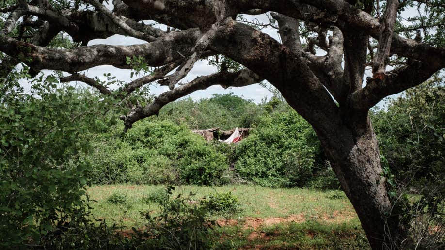 Kenya Starvation Cult Dozens Of Bodies Recovered On Cult Leaders Land