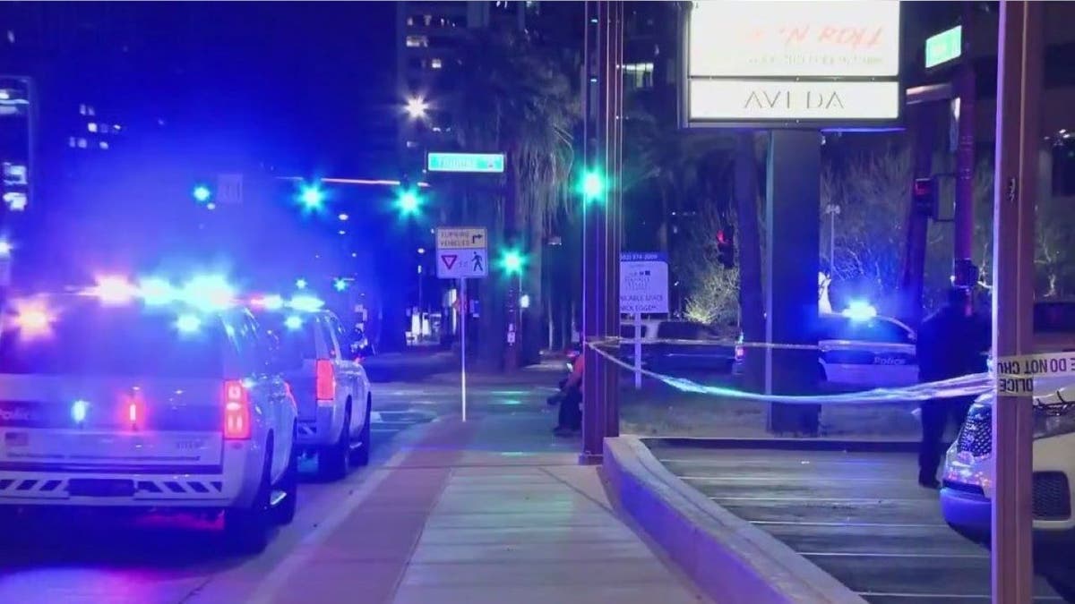 Arizona domestic violence suspect allegedly assaults Phoenix police ... Arizona domestic violence suspect allegedly assaults Phoenix police ...