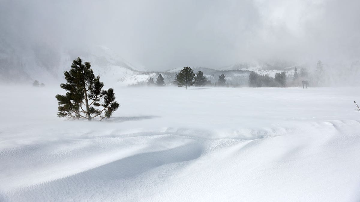 Nevada winter storm repair costs estimated at $10.6 million | Fox News