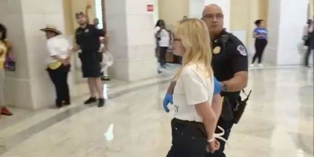 Activists Protesting Debt Ceiling Talks On Capitol Hill Arrested Fox News