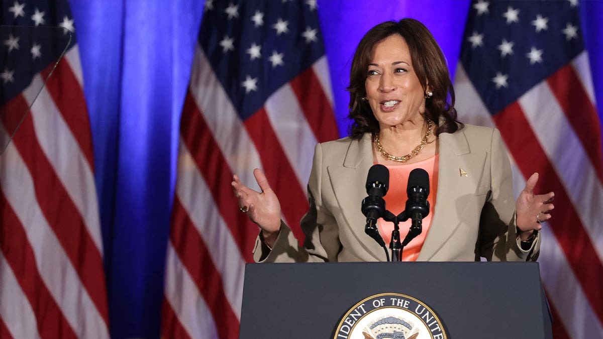 Kamala Harris Announces Plans To Invest 100 Million To Help The