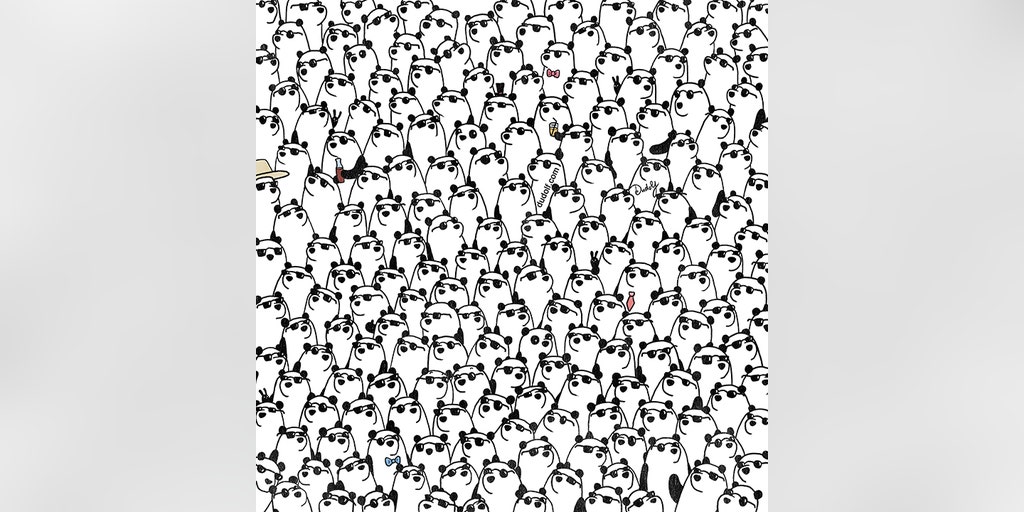 find brain teaser which depicts black and white pandas with and without ...