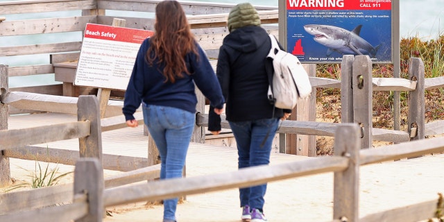 Cape Cod shark activity closes beach to swimming | Fox News
