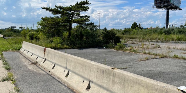 Atlantic City's 'Eastbound Strangler' probe revived as Gilgo suspect ...