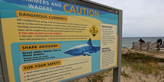 Cape Cod shark activity closes beach to swimming | Fox News