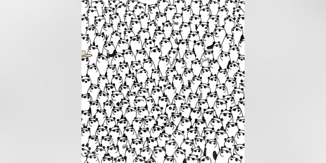 Brain Teaser Can You Find The 3 Pandas Without Sunglasses Fox News 