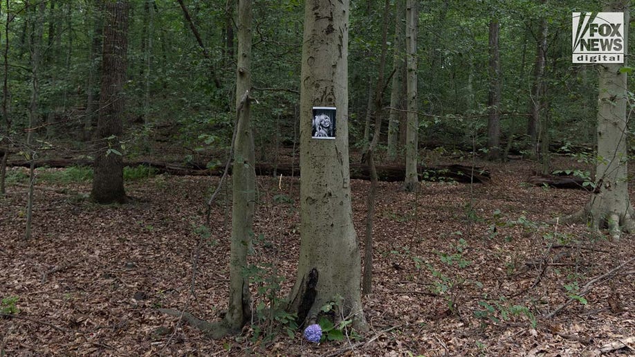 Arrest Made In Killing Of Maryland Mother Of Five Rachel Morin Fox News