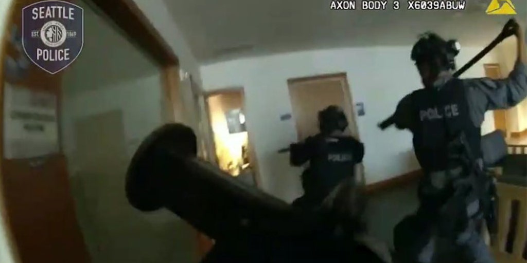 members breaching a barricade situation and finding the suspect with ...