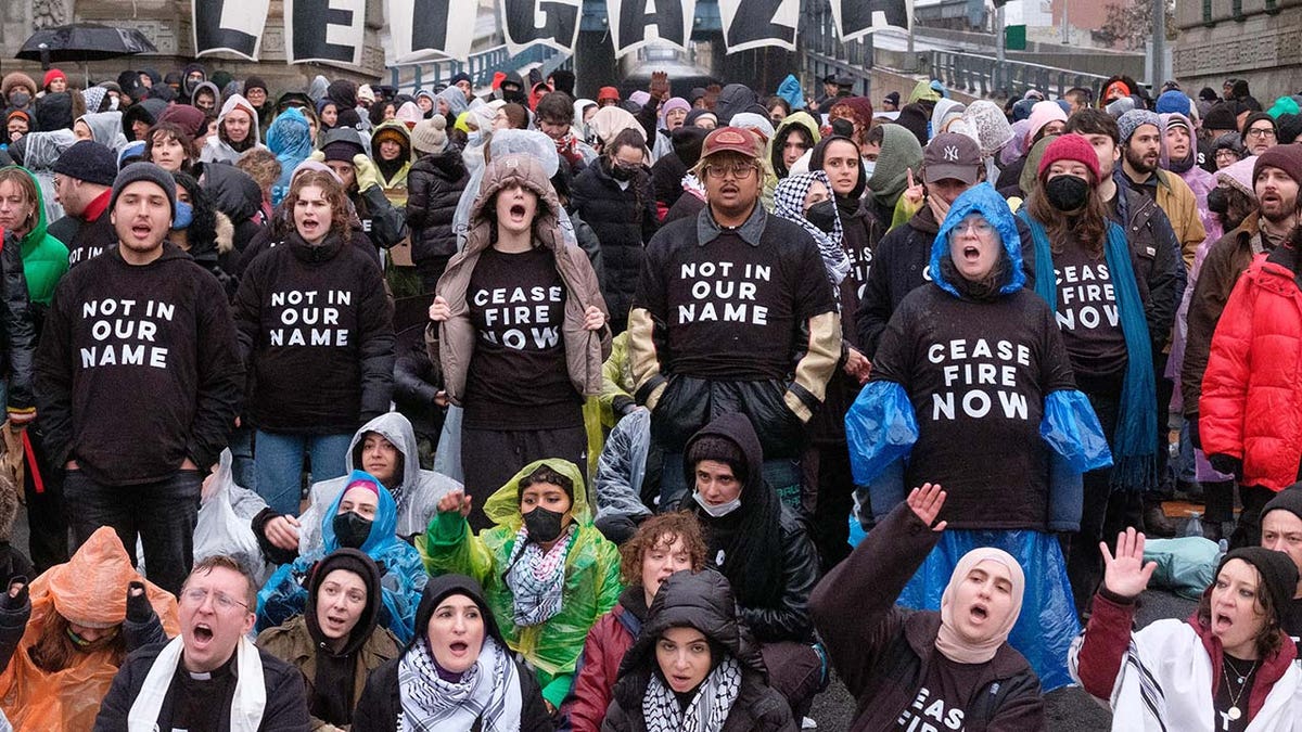 Pro-Palestinian protesters block Manhattan bridge, backing up traffic ... Pro-Palestinian protesters block Manhattan bridge, backing up traffic ...