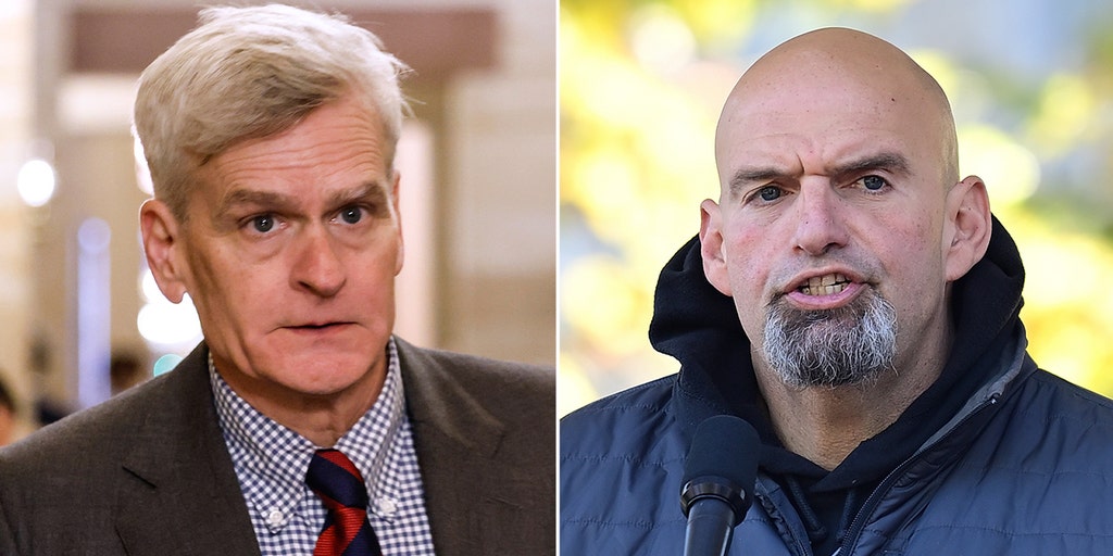 republican and john fetterman a democrat are introducing a bill ...