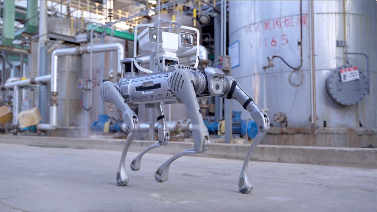 This Chinese company believes it can make a pet robot dog more powerful ...