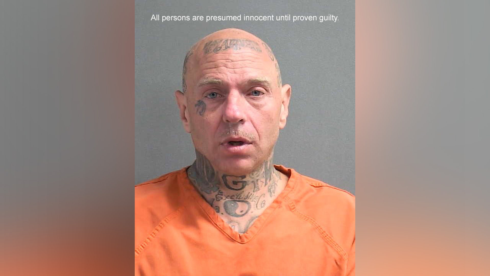 Mugshots of the week: Sept. 1-7, 2024 | Fox News