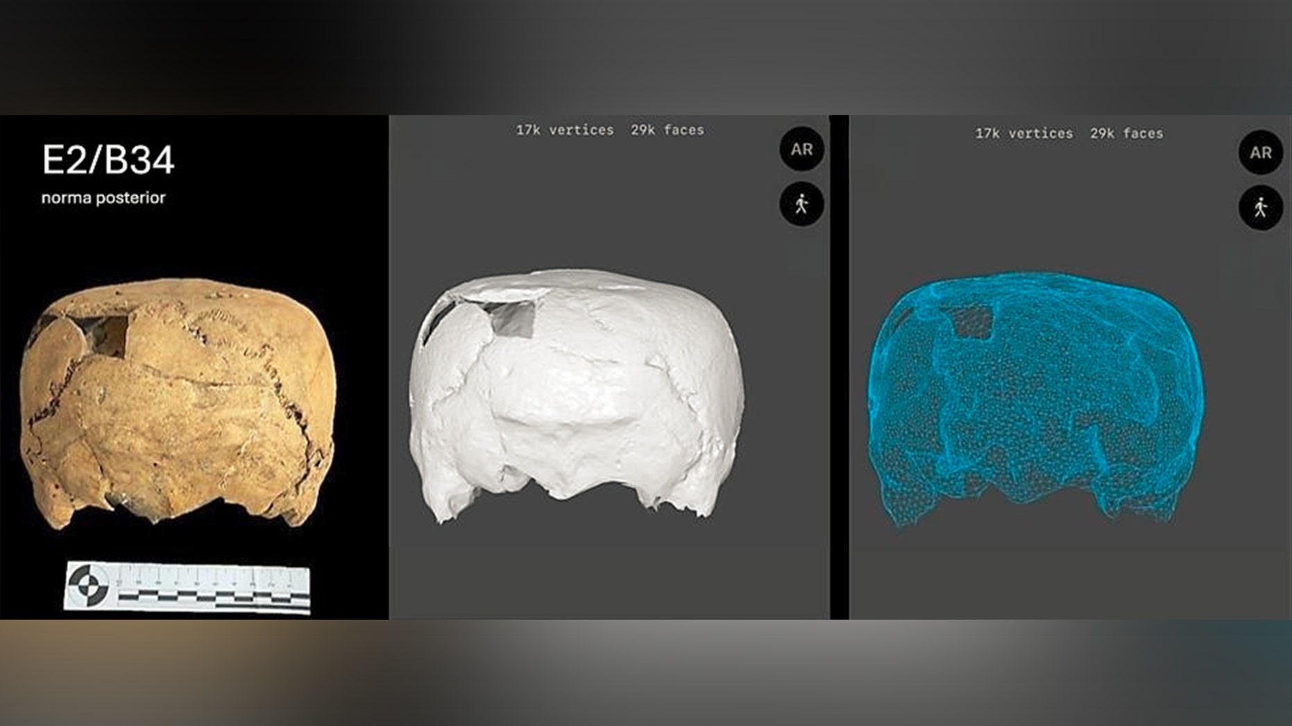 1,400-year-old skull with mysterious flat top found in ancient village ...