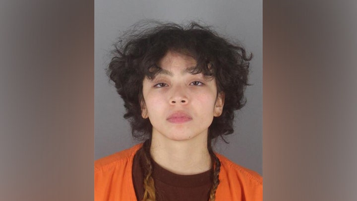 Anti-ICE Rioters Have Mug Shots, Rap Sheets Made Public After Arrests ...