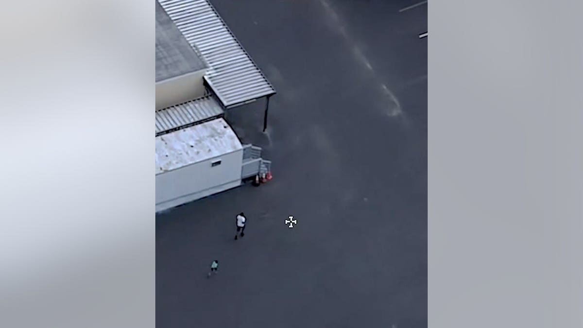 Florida man abandons child during law enforcement chase in Orlando ...